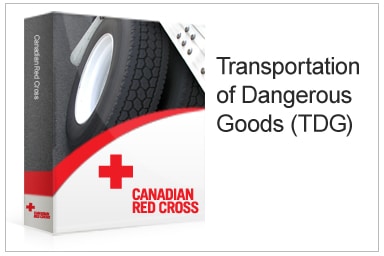 Online Safety Courses - Canadian Red Cross Training Partner