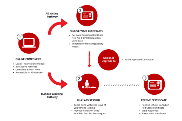 Online First Aid & CPR/AED Training | Coast2Coast