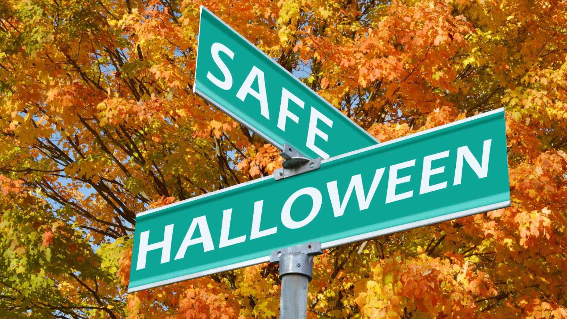 Essential Halloween Safety Tips | Coast2Coast